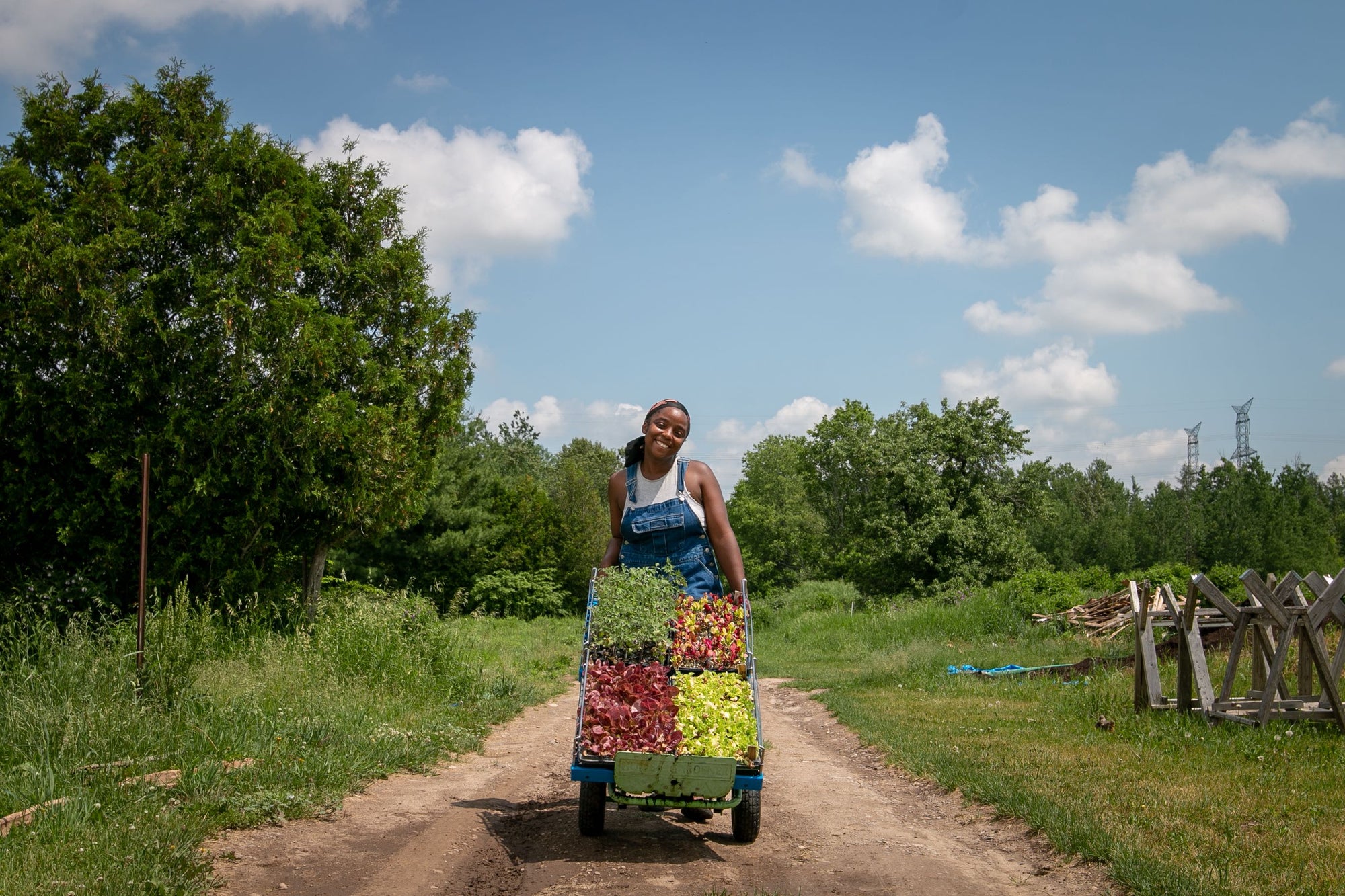 Lucky Bug Farm - Home